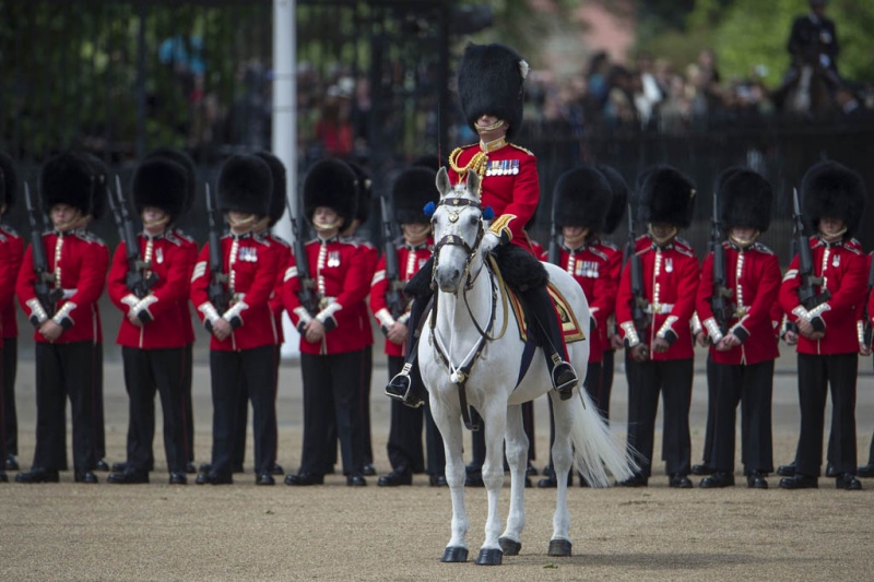 Gallery - The Household Division - Official site