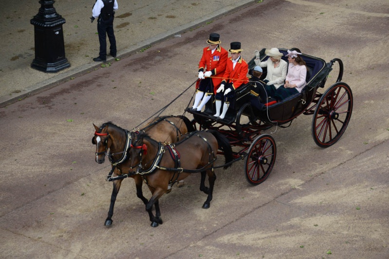 Gallery - The Household Division - Official site