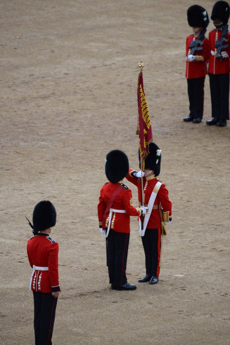 Gallery - The Household Division - Official site