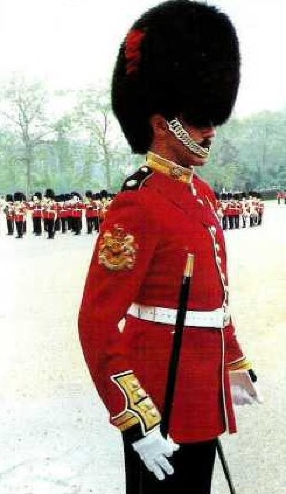 Major Perry's Instagram, Twitter & Facebook on IDCrawl