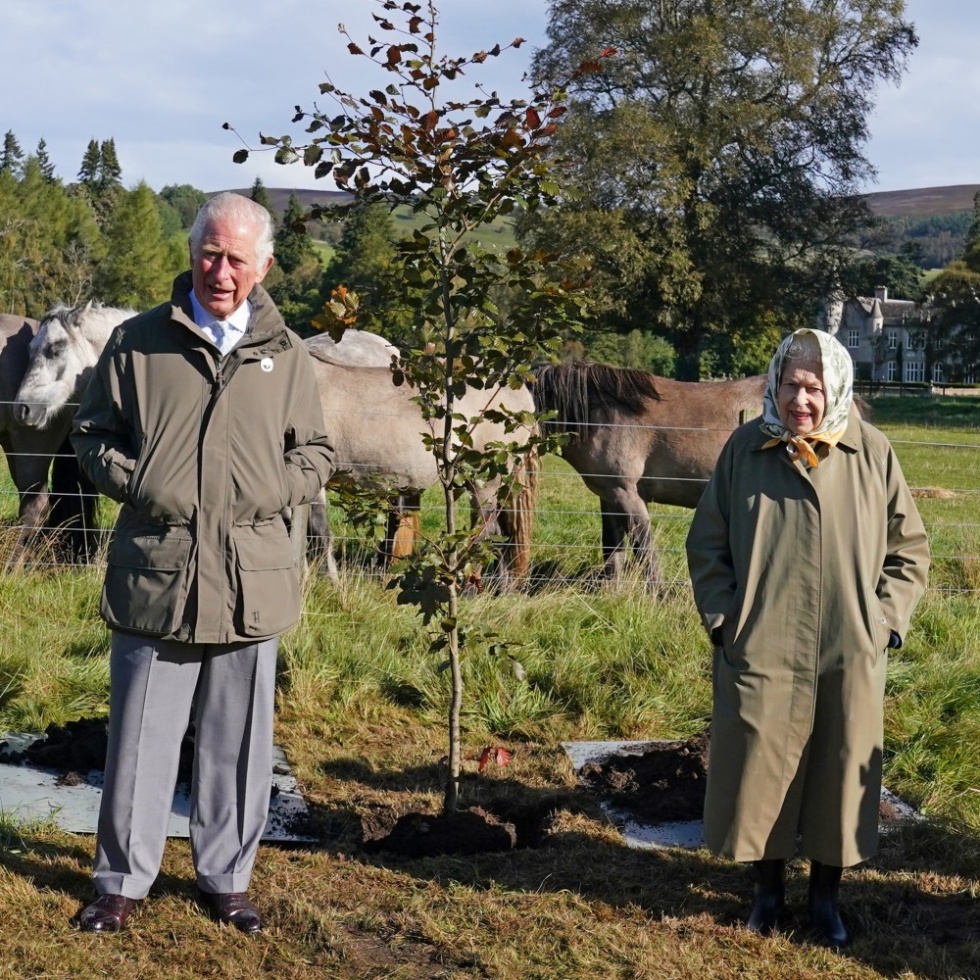 Queen S Green Canopy Green Canopy The Household Division Official